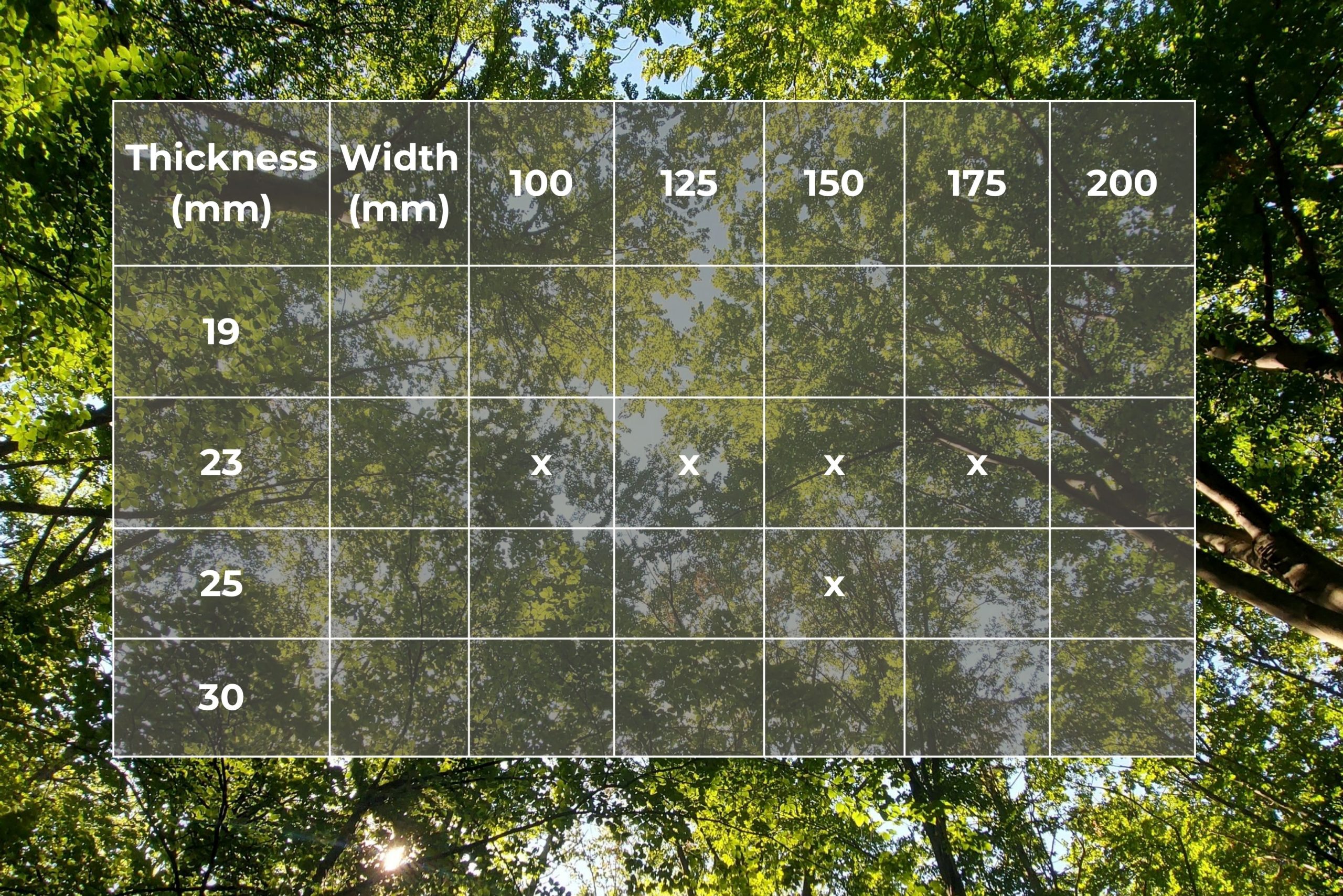 ThermoFrake (Terminalia Superba) | HJT-Holz